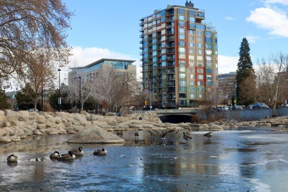 5 Parks To Visit In Reno : Apts Nevada